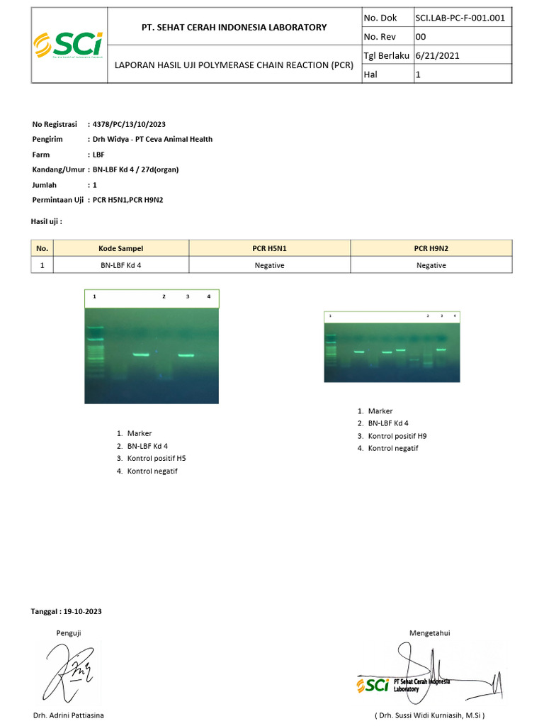 4378 - PC - 13 - 10 - 2023 - PCR - Widya - LBF | PDF