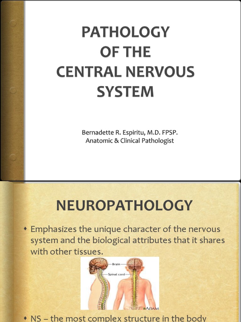 Pathology of The Nervous System | PDF | Meningitis | Stroke