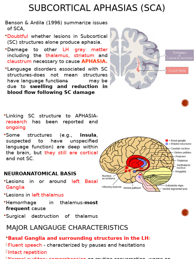 Subcortical Aphasia (2) | PDF