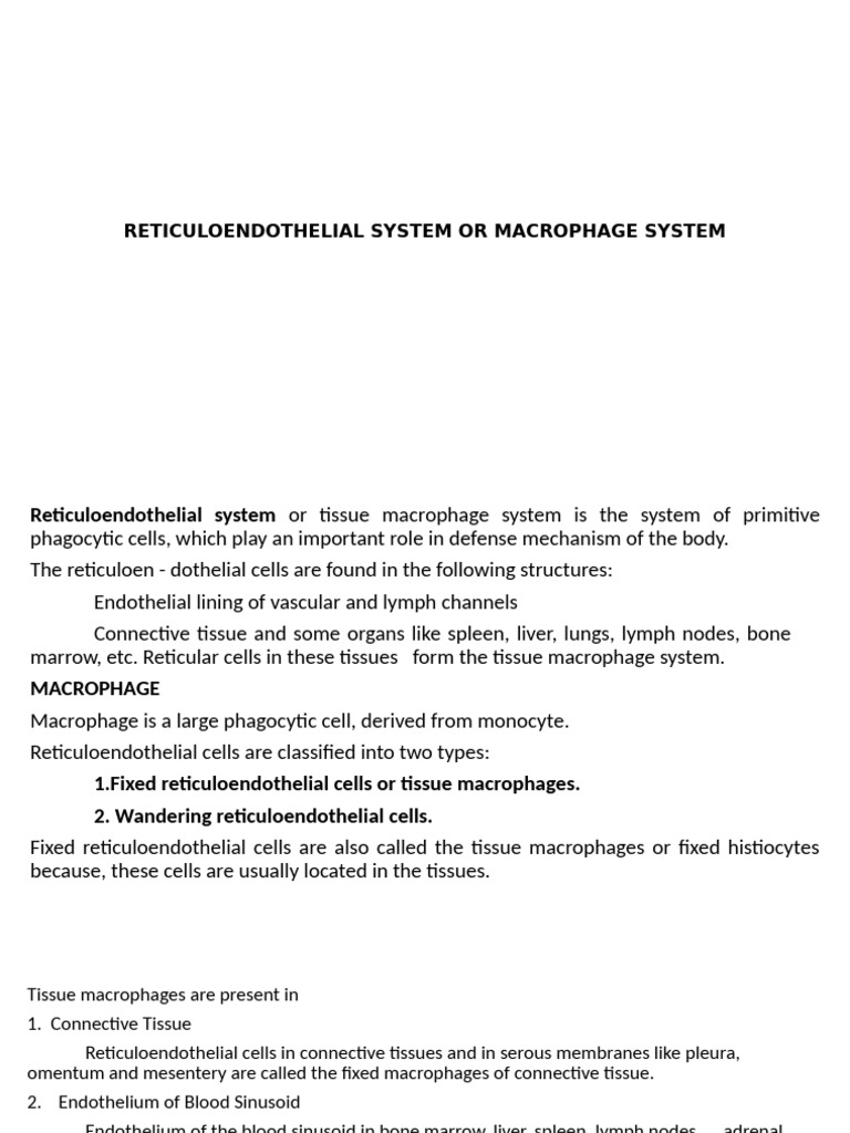 Understanding the Reticuloendothelial System | PDF | Macrophage | Phagocyte