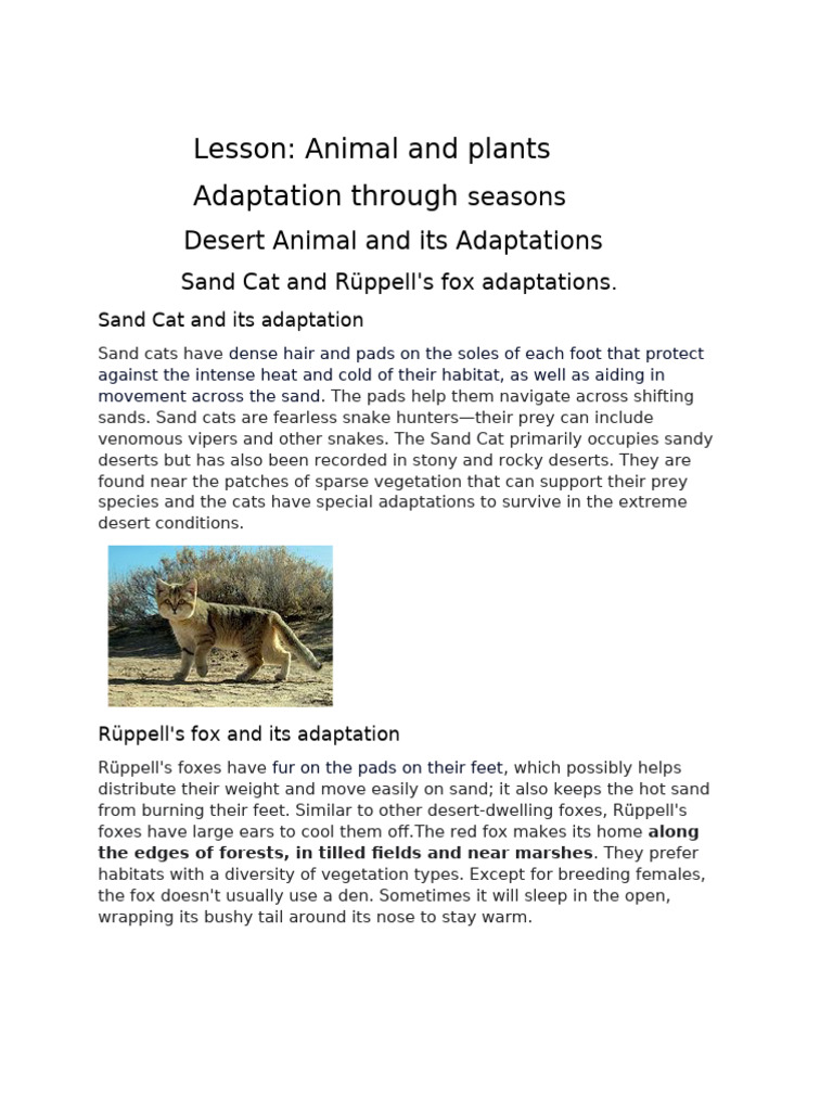 Adaptation of Animals in the Desert | PDF