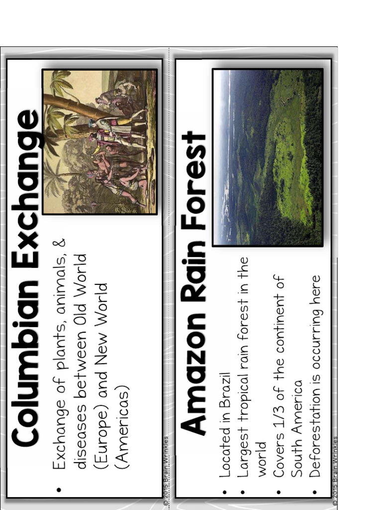 Rainforest | PDF