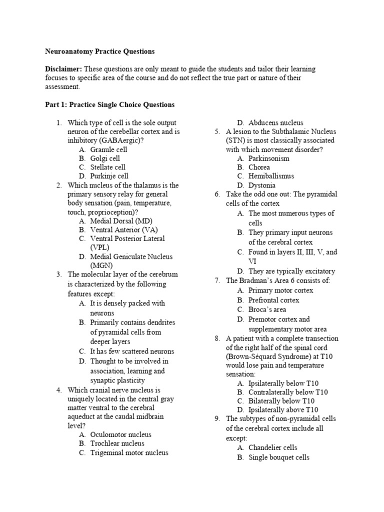 Neuroantomy 3 Practice Questions | PDF | Cerebellum | Cerebral Cortex
