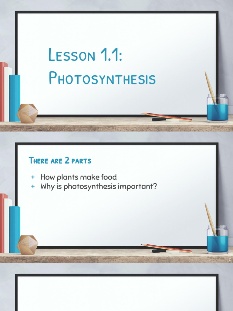 Understanding Photosynthesis Basics | PDF