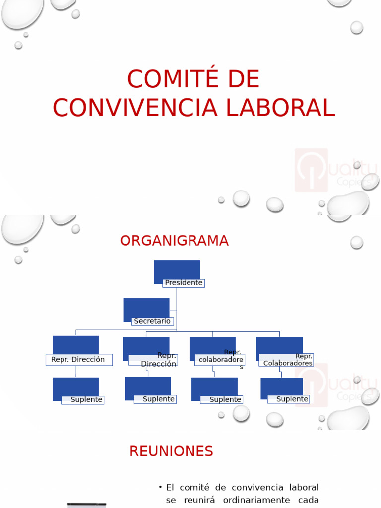 Funciones y Responsabilidades CCL | PDF
