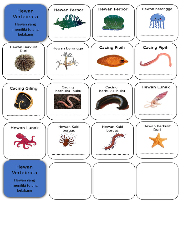 Jenis-Jenis Hewan Vertebrata dan Invertebrata | PDF
