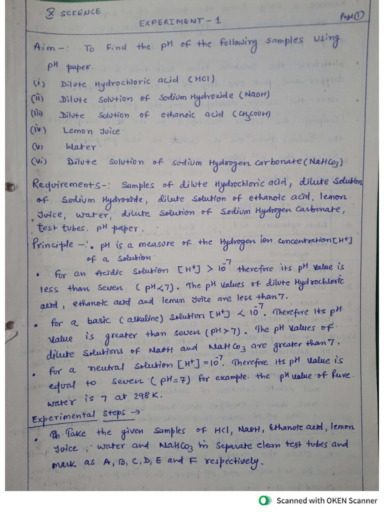 Class 10 Science Practical 25-26 | PDF