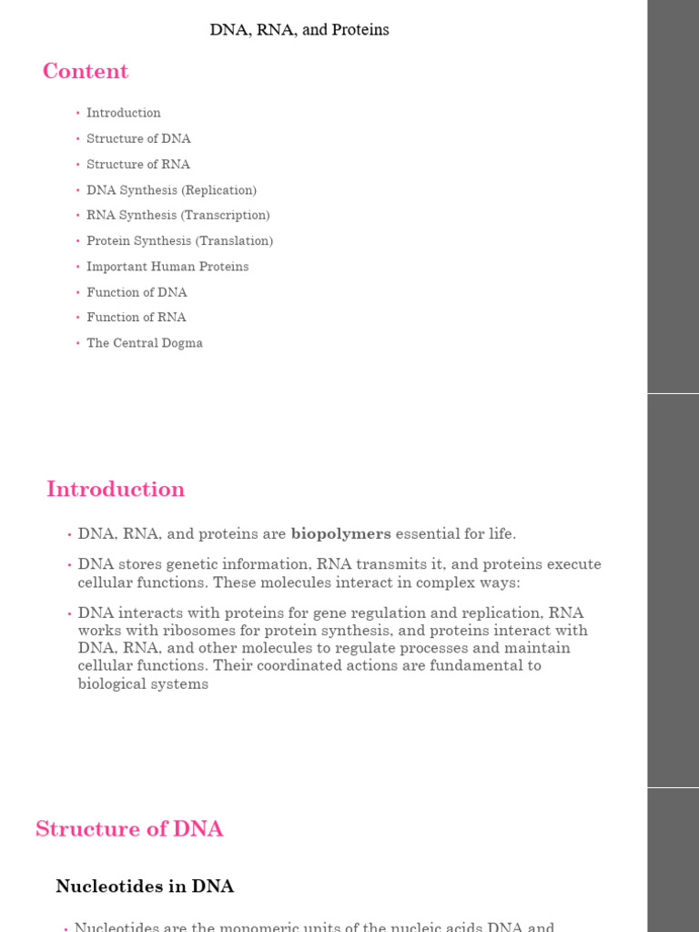 DNA, RNA, and Protein Synthesis Overview | PDF | Rna | Translation ...