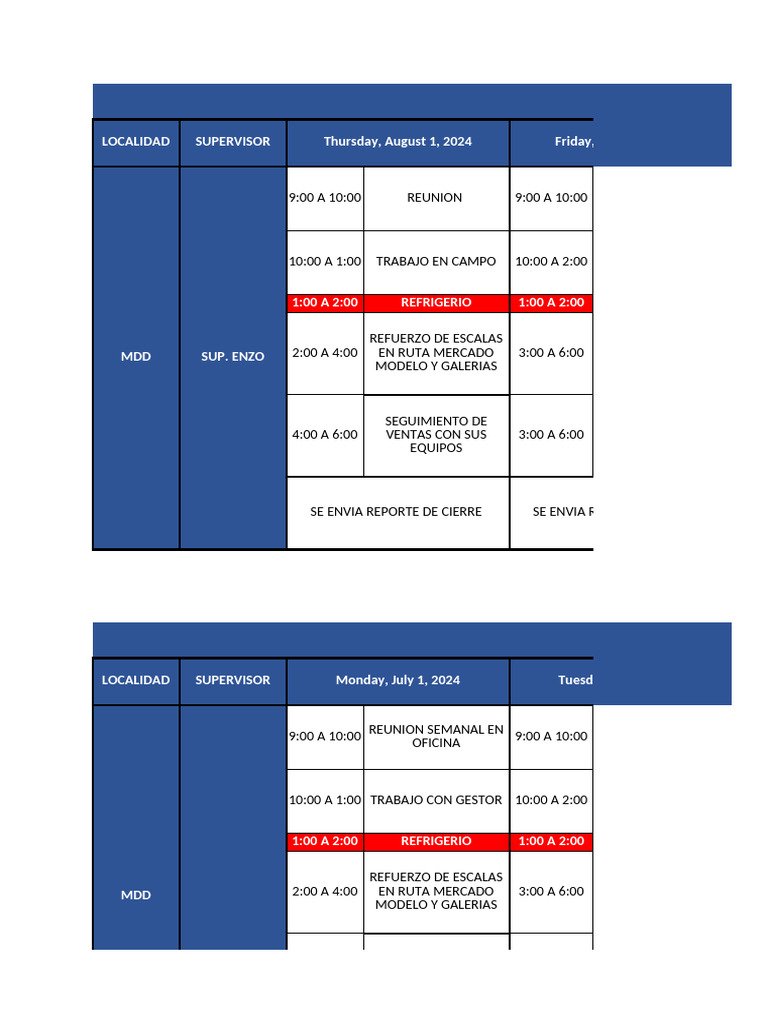 Plan de Trabajo Enzo Bolognesi | PDF