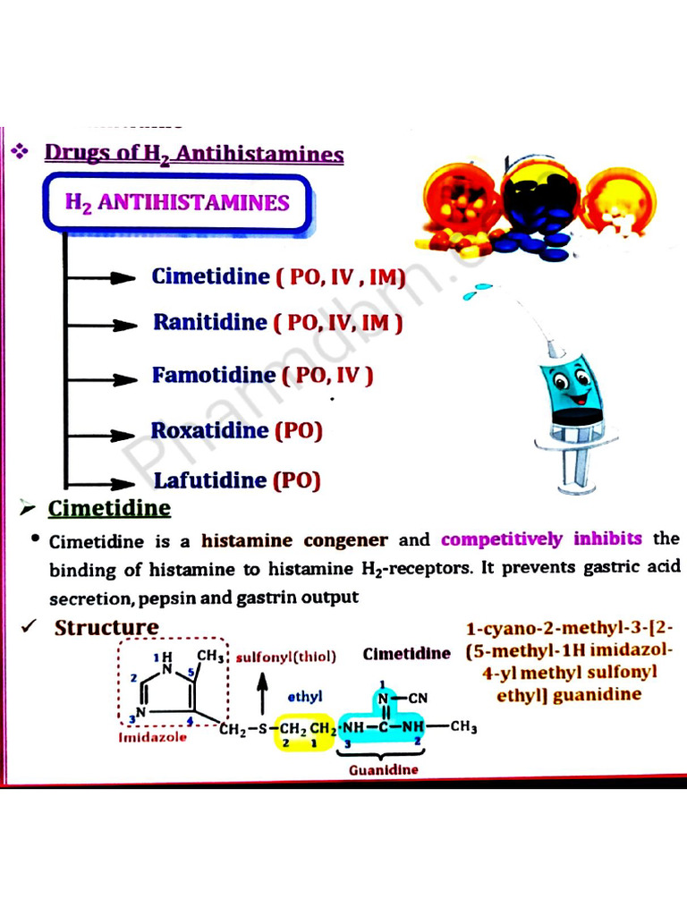 h2 Antagonist | PDF