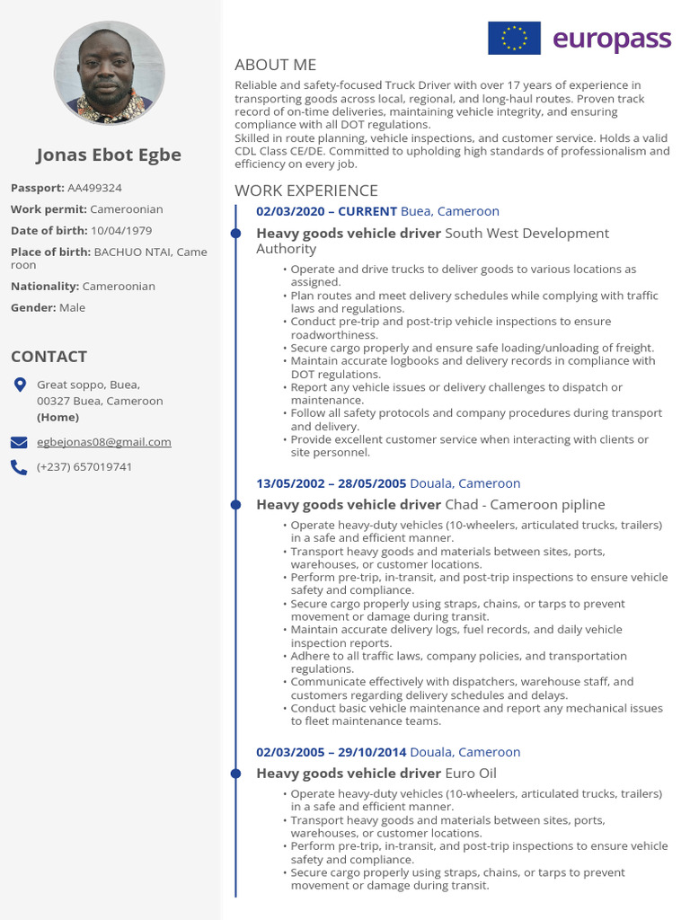 Experienced Truck Driver Resume | PDF | Truck Driver | Driver's License