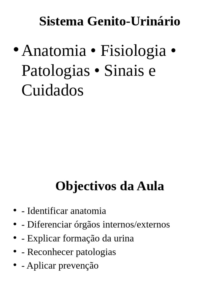Aula Sistema Genito Urinario | PDF