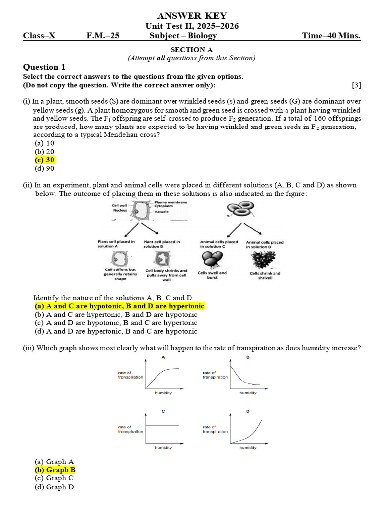 Biology Unit Test II Answer Key | PDF | Stoma | Leaf