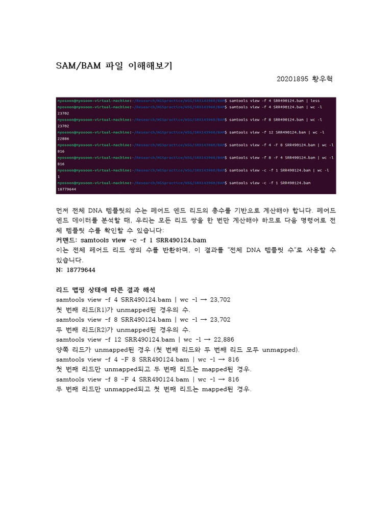 Sam파일 Bam파일 이해해보기 20201895황우혁 | PDF