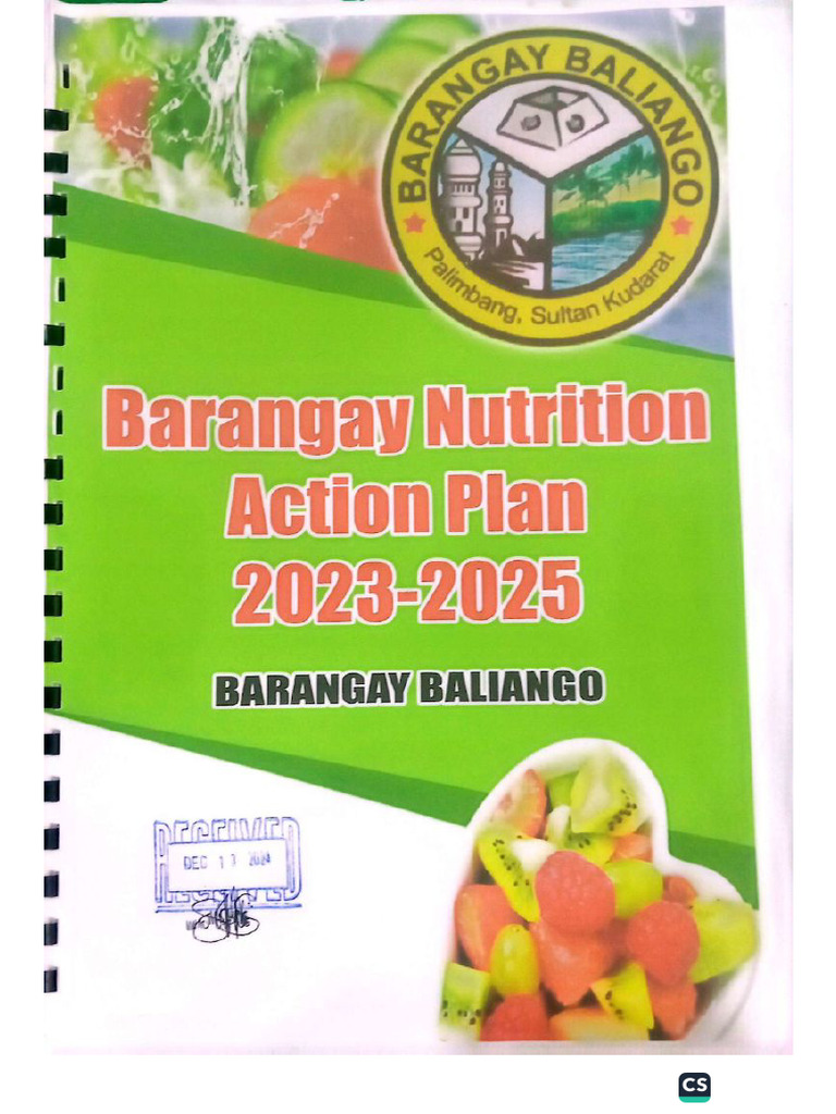 Compressed Enhanced Bnap of Baliango | PDF