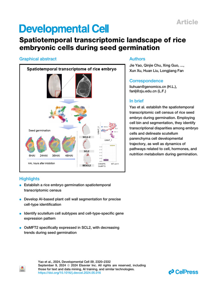 Spatiotemporal Transcriptomic Landscape of Rice | PDF | Transcriptome ...