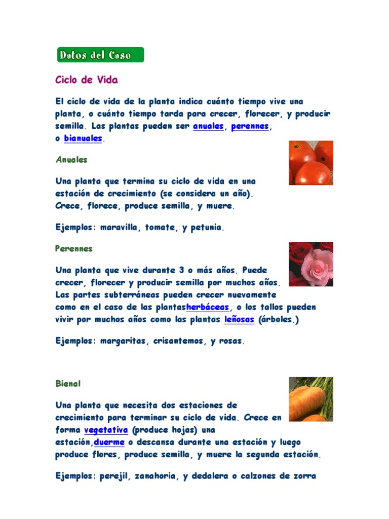 Ciclo de Vida | PDF | Clasificación biológica | Taxonomía (biología)