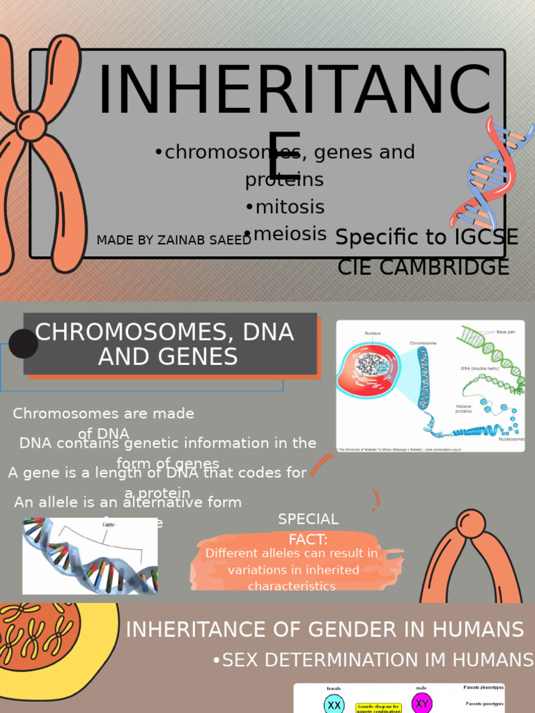 Inheritance igcse cie biology | PDF | Gene | Cell (Biology)