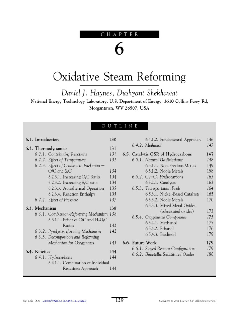 Oxidative Steam Reforming | PDF | Chemical Reactions | Catalysis