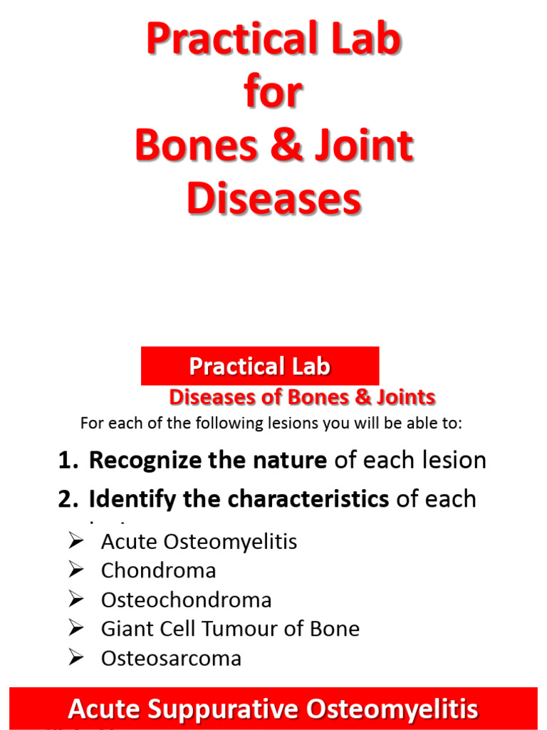 Bones and Joints Disease Lab Guide | PDF | Epithelium | Bone