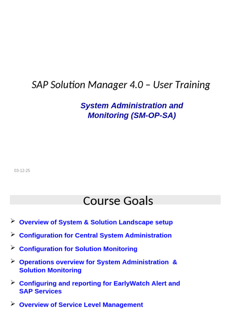 SAP Solution Manager 4.0 User Training Guide | PDF | Java (Programming ...