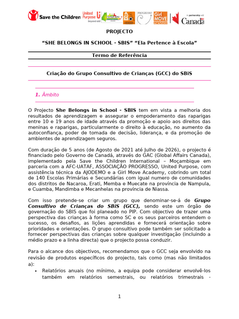 Grupo Consultivo de Crianças do SBIS | PDF | Adolescência | Governança