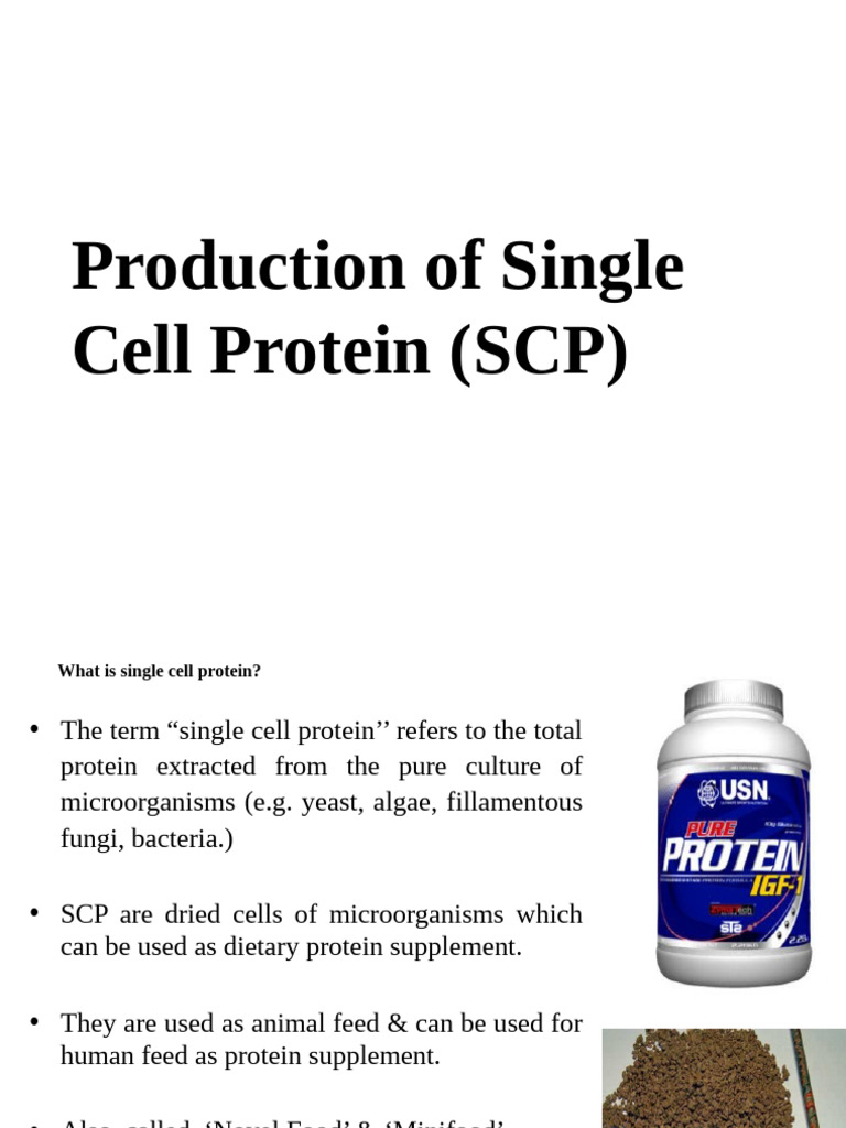 Single Cell Protein Production Overview | PDF | Chemistry | Biology