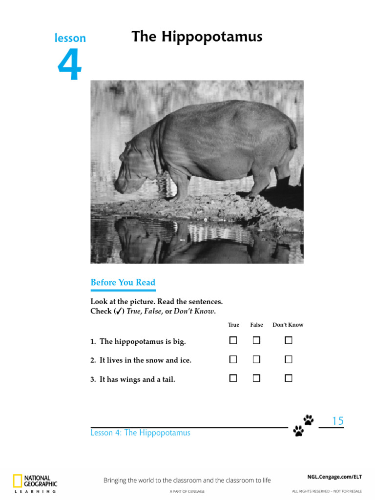 Hippopotamus Facts and Vocabulary Guide | PDF | Hippopotamus | Zoology