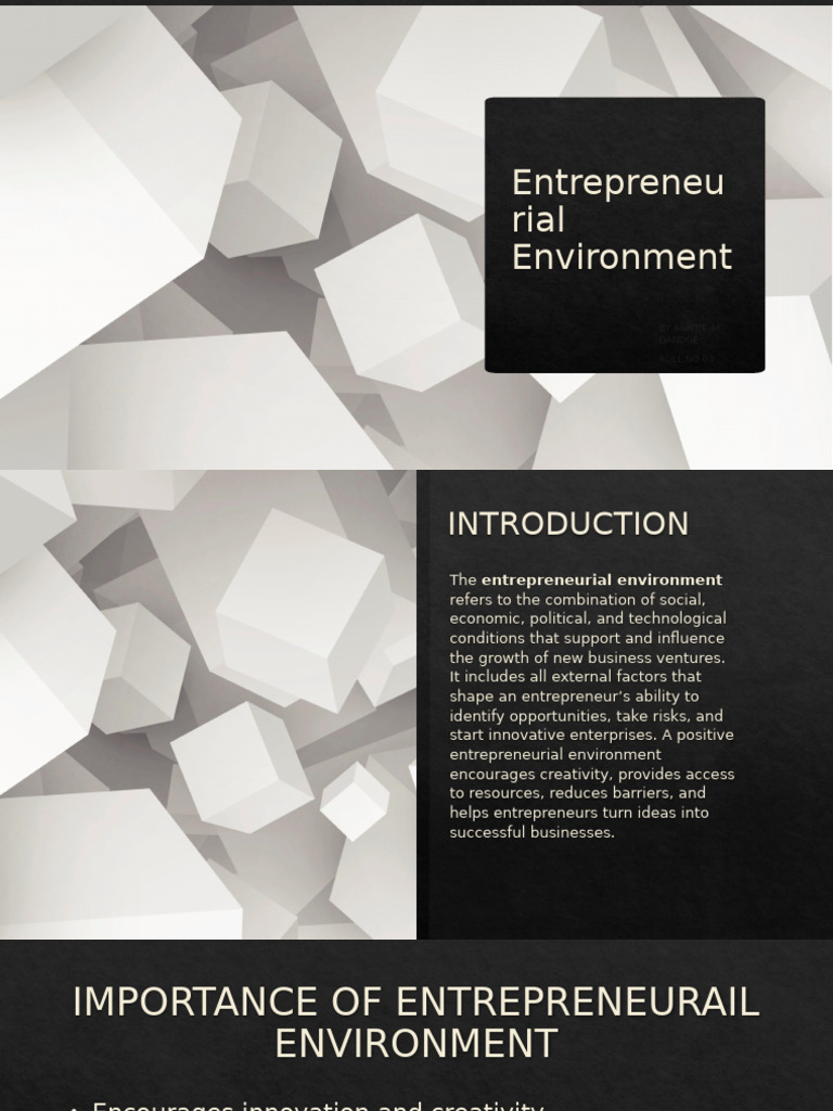 Entrepreneurial Environment | PDF