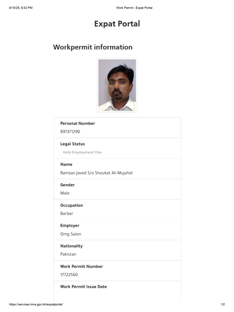 Work Permit - Expat Portal | PDF