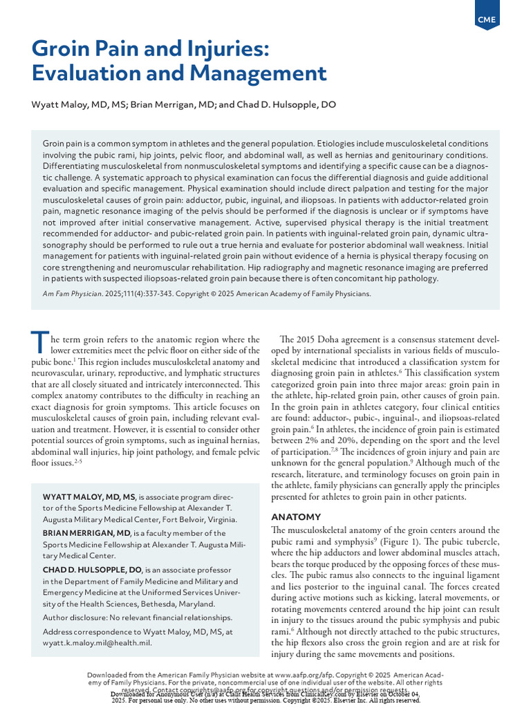 Groin Pain and Injuries | PDF | Musculoskeletal System