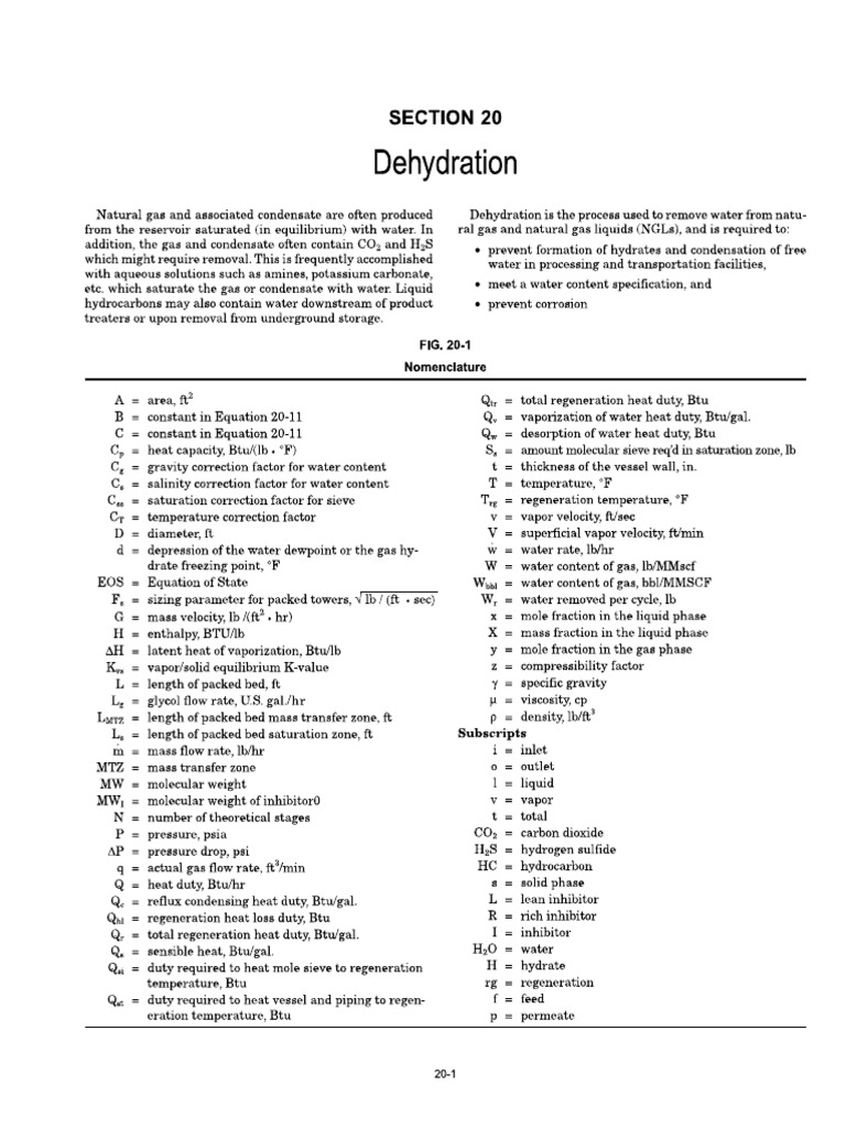 Gpsa - Cap 20 | PDF