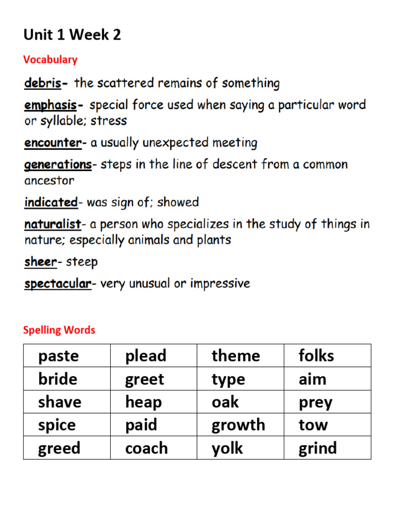 Week 2 Vocabulary and Spelling List | PDF