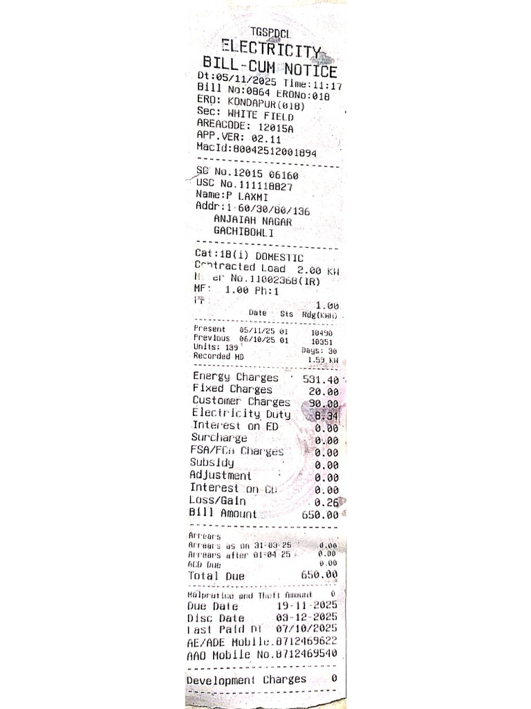 Electric Bill - Nov | PDF