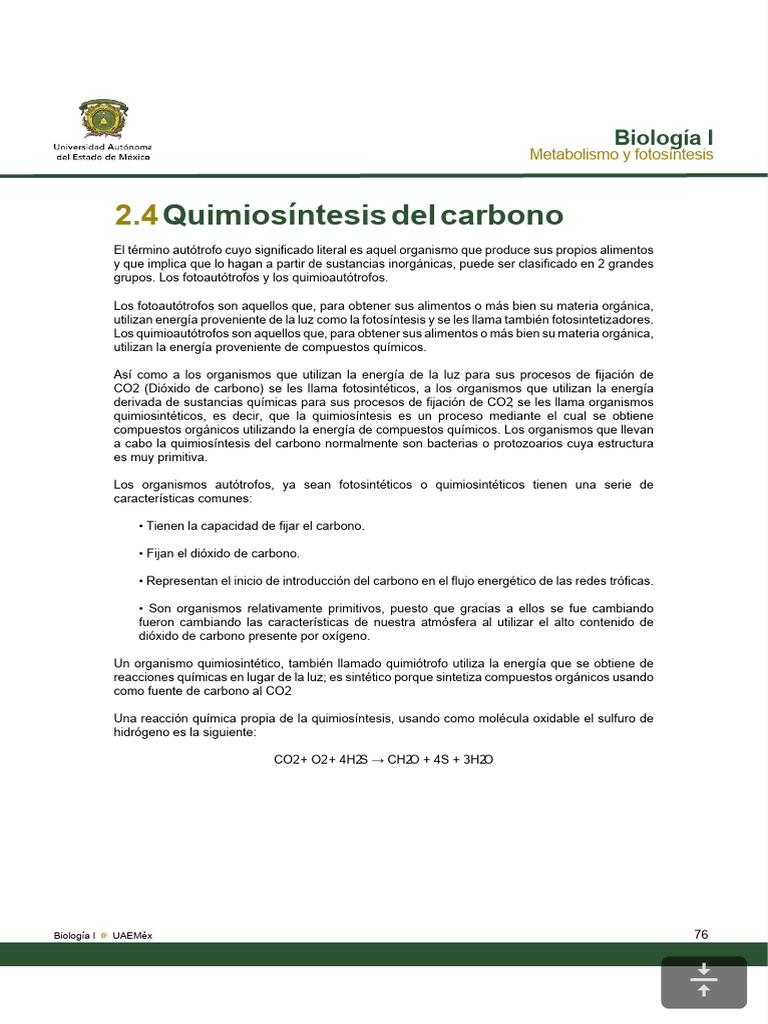 Quimiosíntesis: Autótrofos y Procesos | PDF | Fotosíntesis | Biología
