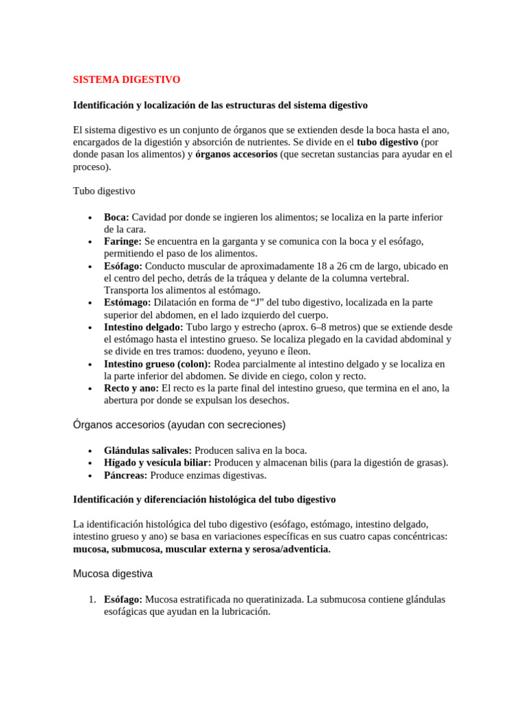 CUESTIONARIO CERTIFICATIVO MORFO HUMANA | PDF | Sistema digestivo humano | Riñón