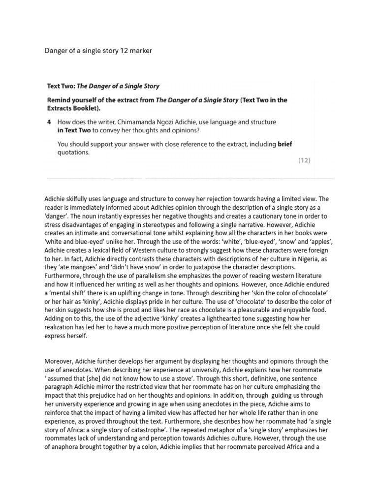 The Danger of a Single Story Explained | PDF | Experience | Thought