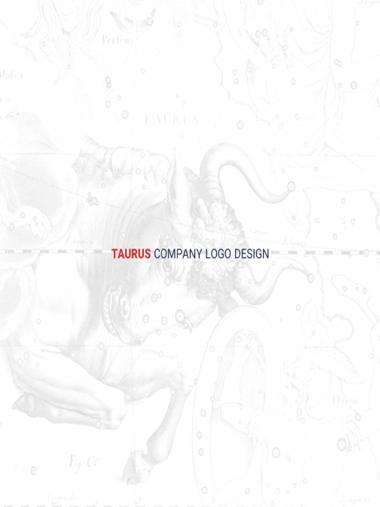 Logo Taurus | PDF