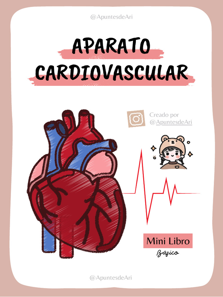 Guía del Aparato Cardiovascular | PDF | Corazón | Sistema circulatorio