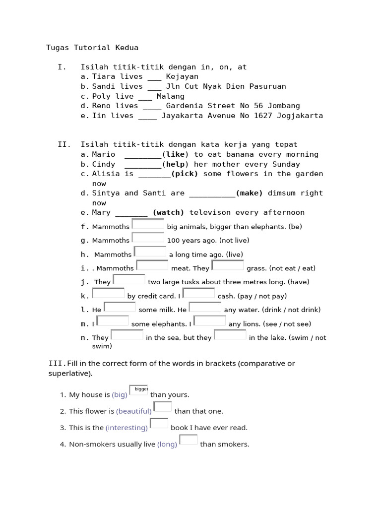 English Grammar Exercise Worksheet | PDF