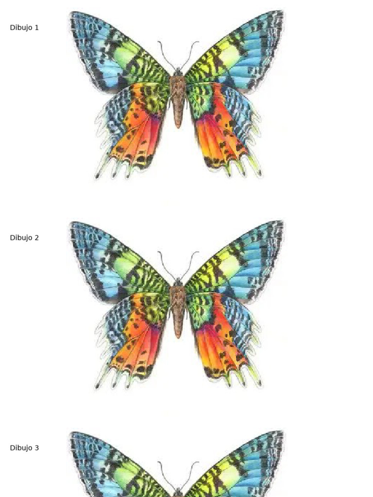 Reflexión de La Mariposa | PDF