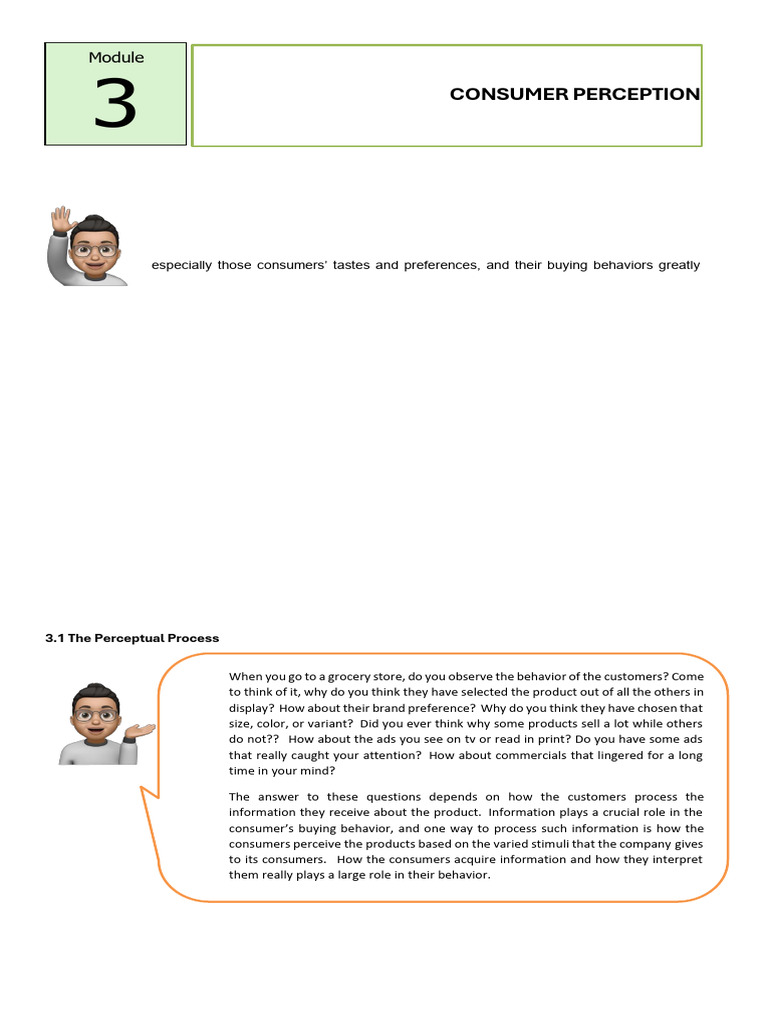 Understanding Consumer Perception | PDF | Perception | Brand