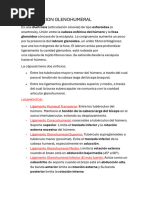 Anatomía de la Región Escapular | PDF | Articulaciones | Hombro