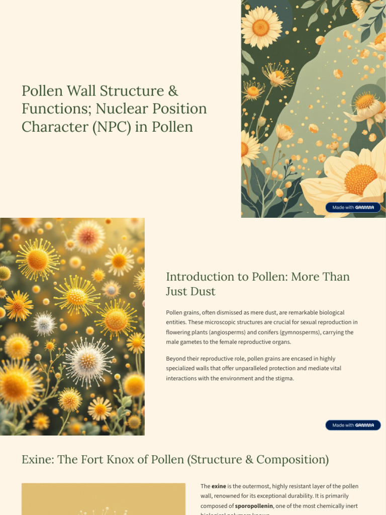 Pollen Structure and Nuclear Positioning | PDF | Pollen | Fertilisation