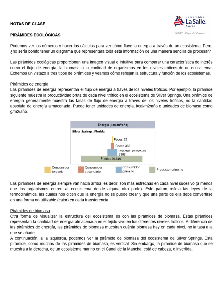 Pirámides Ecológicas: Energía, Biomasa y Cantidad | PDF | Biomasa ...
