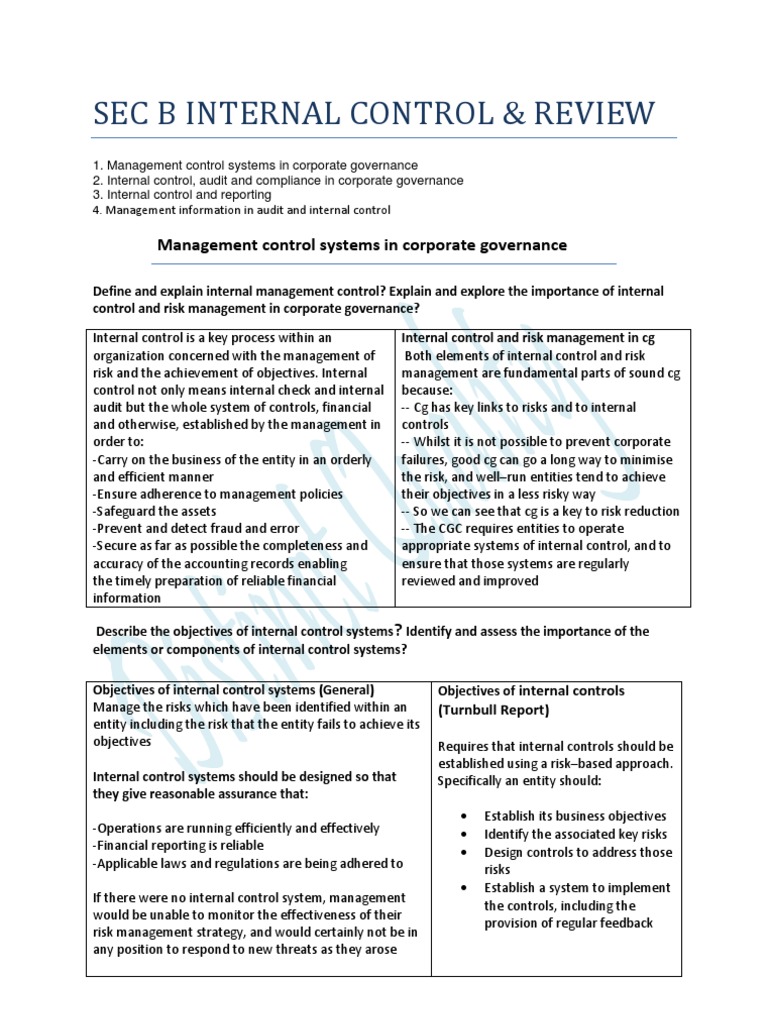 B Internal Control and Review | PDF | Internal Control | Internal Audit