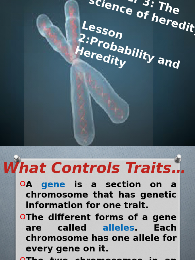 Biology Cycle 8 Chapter 3 Lesson 2 Grades 7 ABCKLM 2 | PDF | Dominance ...
