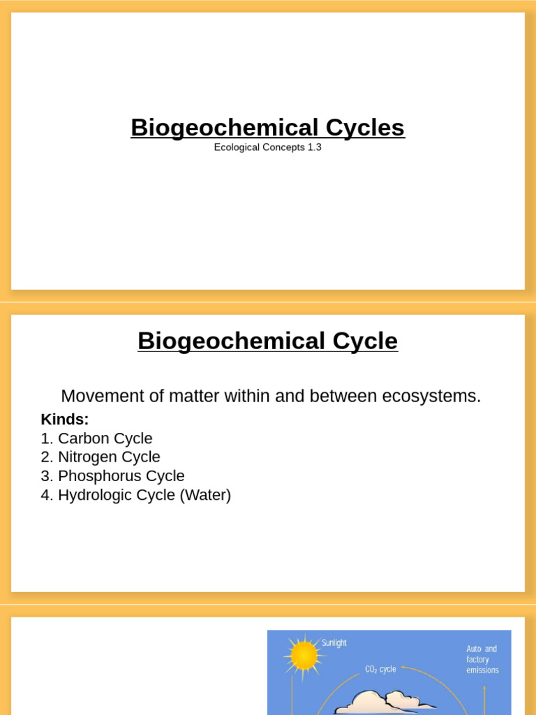 Understanding Biogeochemical Cycles | PDF | Carbon Cycle | Water Cycle