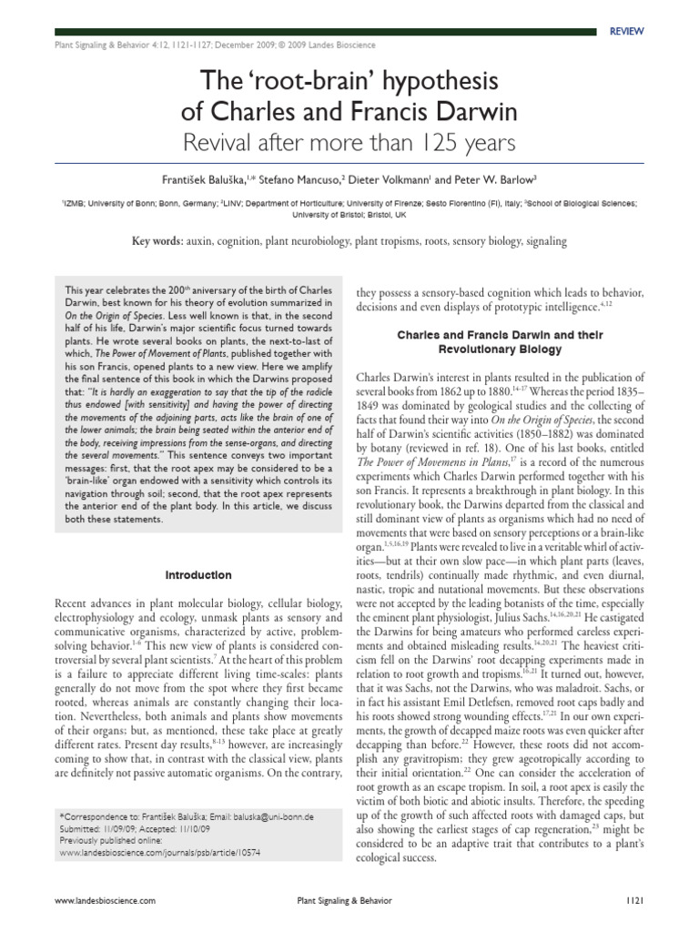 Root Brain Hypothesis Darwin and Charles | PDF | Auxin | Root