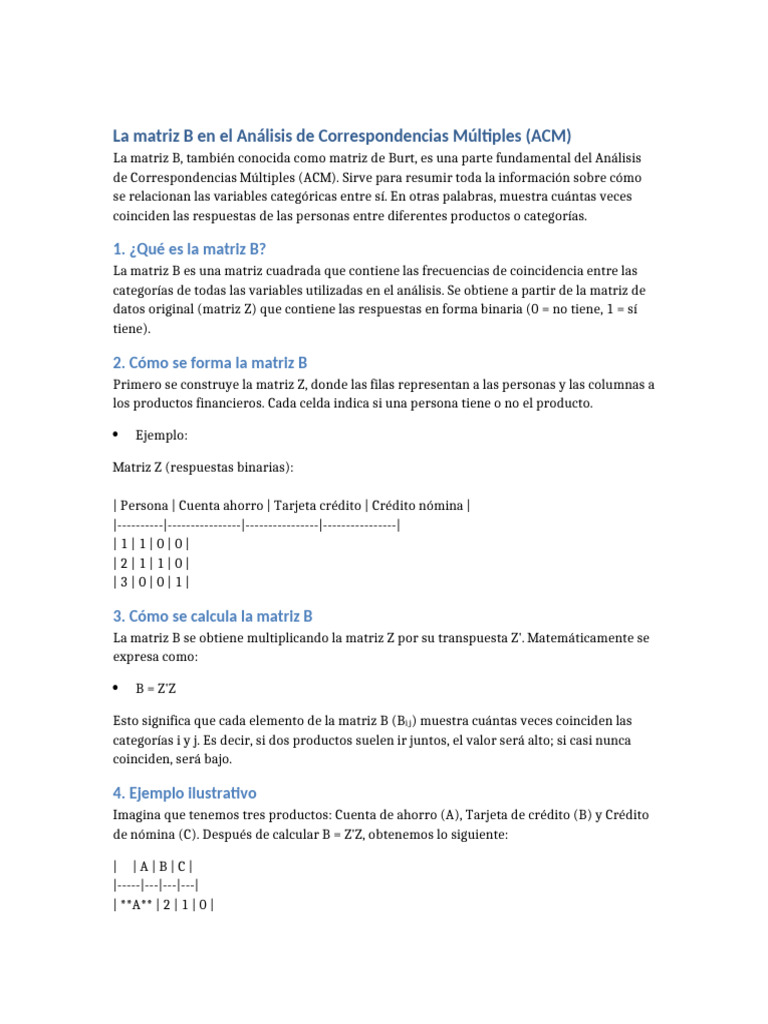 Matriz_B_Explicacion_Completa | PDF | Matriz (Matemáticas) | Matemáticas
